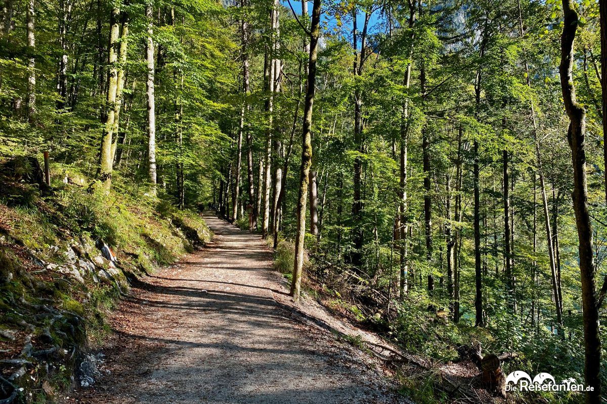 Der Malerwinkel-Rundweg am Königssee - reisefanten.de